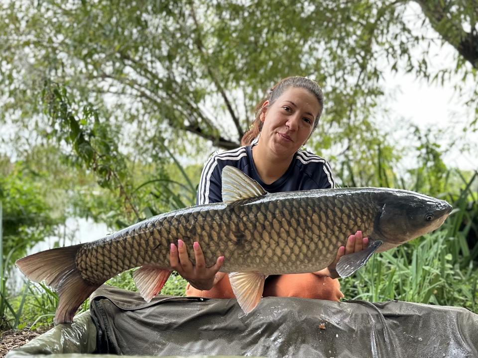 Grass Carp | Total Carp